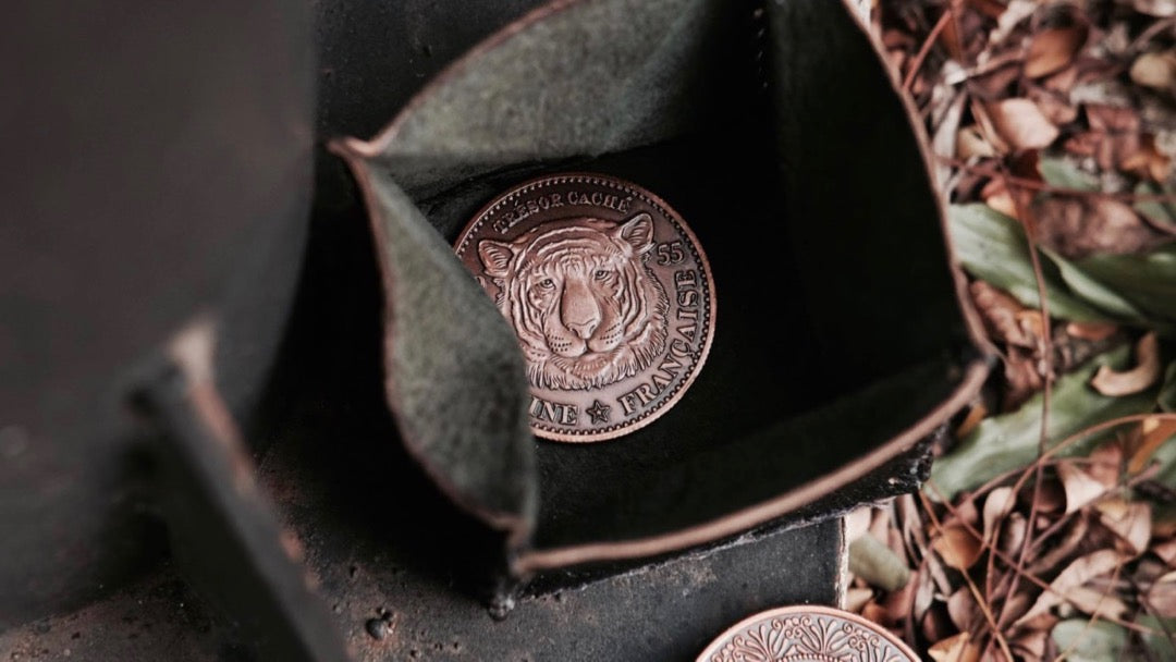 Tiger-Tan Coins - Coin Magic! – Copeland